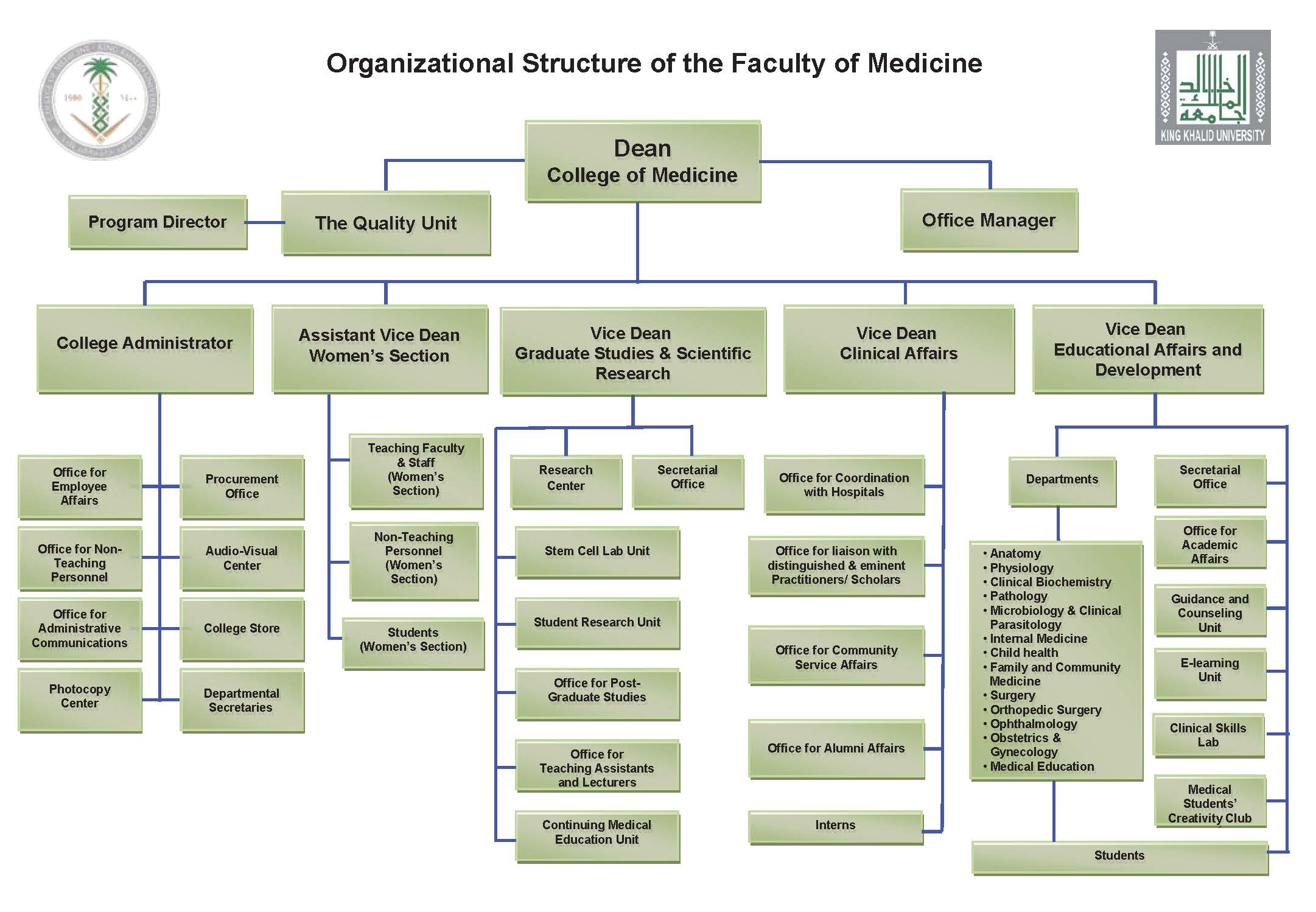 College Organizational Structure | College of Medicine
